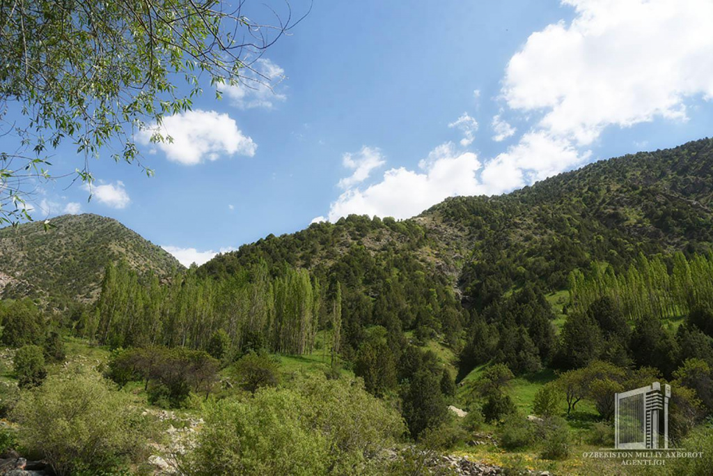 Ona tabiatni asrash har birimizning burchimiz